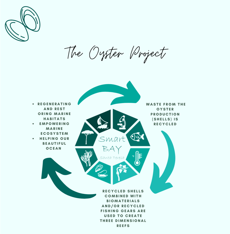 Mussel and Oyster shells for Regeneration | Smart Bay Santa Teresa